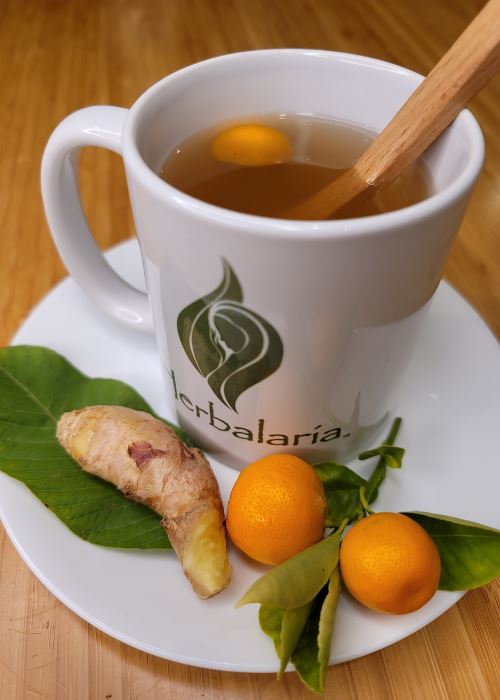 How to Make Salabat Ginger Tea – Herbalaria